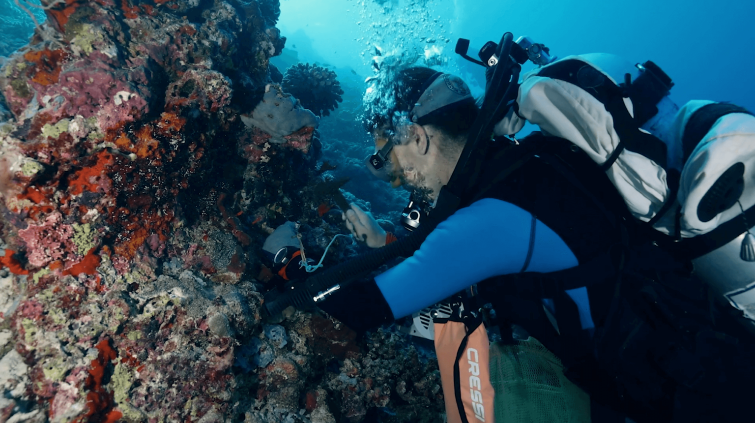 Rebuilding Coral Reefs – KAUST